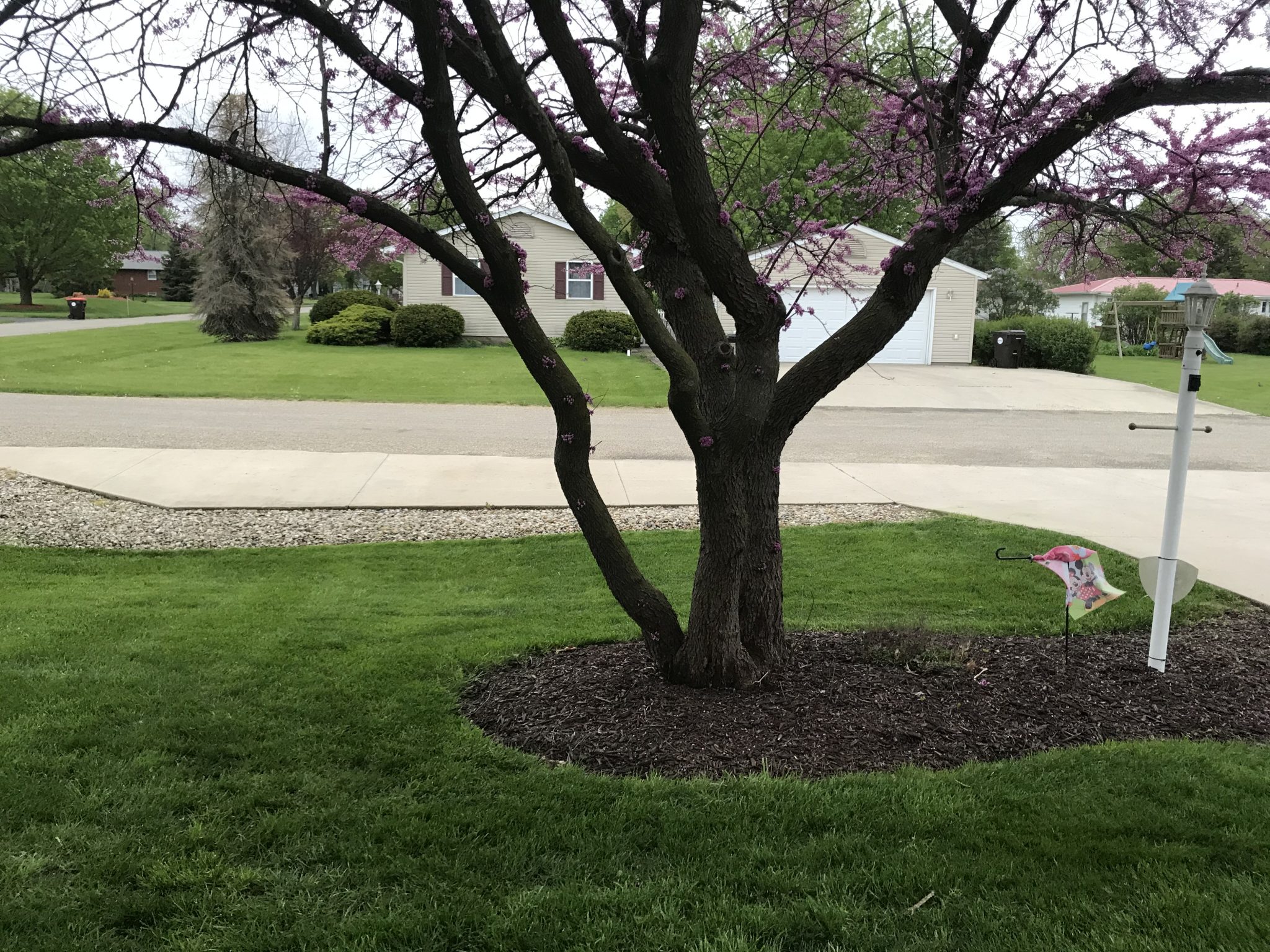 Photos – Gerjets.com